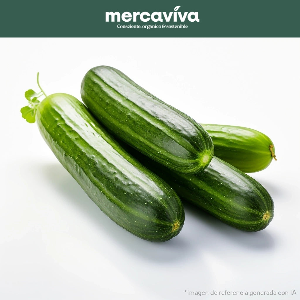 Pepino Cohombro x 1 und – Eatsy Market