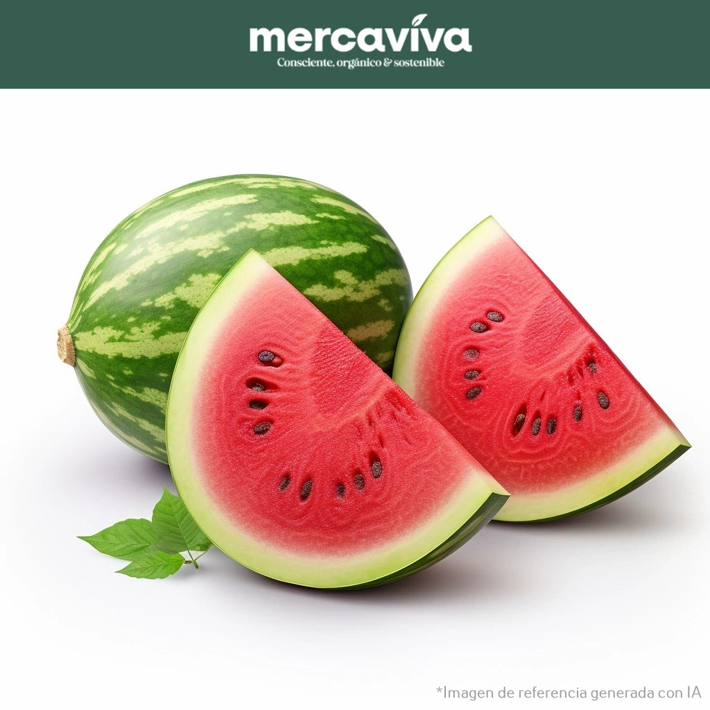 Sandia Baby x 1 und – Eatsy Market